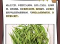 石竹茶的功效与作用_石竹茶能长期喝吗