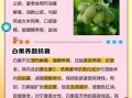 白果怎么吃最好_白果的功效与作用禁忌