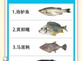 海货大全图片有哪些种类_如何辨别新鲜海货