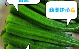秋葵有壮阳补肾的作用吗_秋葵怎么吃补肾效果好