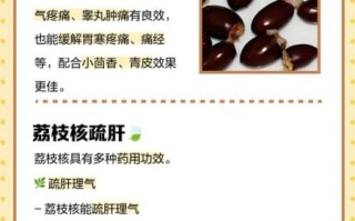 荔枝核的功效与作用_荔枝核怎么泡水喝