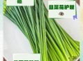 韭菜花和韭菜哪个营养_韭菜花与韭菜营养价值对比
