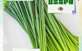 韭菜花和韭菜哪个营养_韭菜花与韭菜营养价值对比