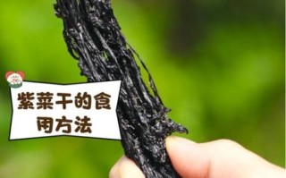 紫菜吃多了有什么副作用_紫菜过敏症状有哪些