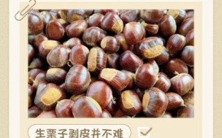 栗子怎么去皮_生栗子快速去壳技巧