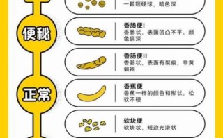 吃什么治便秘效果最好_便秘吃什么最快排便