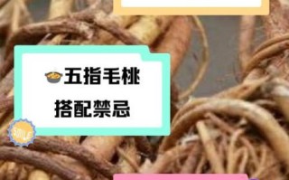 五指毛桃禁忌人群有哪些_哪些人不能吃五指毛桃