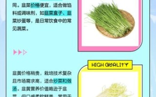 韭菜和韭黄哪个壮阳_男人吃韭菜还是韭黄