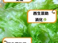 西生菜可以生吃吗_西生菜的营养价值