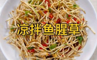 鱼腥草怎么吃法大全_鱼腥草凉拌还是煮水好