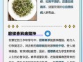 男人喝碧螺春有什么好处_碧螺春对男性健康的作用