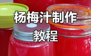 杨梅汁怎么做_杨梅汁怎么保存不变色