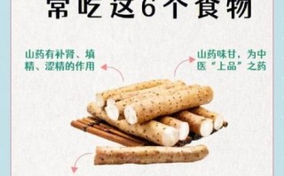 补肾食品有哪些_肾虚吃什么食物好