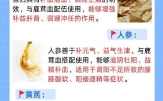 鹿血的功效与作用_鹿血怎么吃效果最好