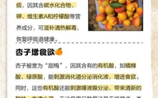 杏的功效与作用及禁忌_吃杏会上火吗