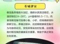 银鱼多少钱一斤_银鱼价格行情