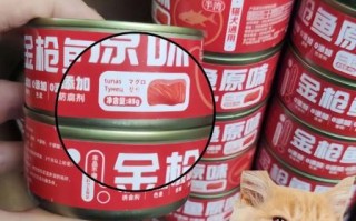 鱼罐头怎么选_鱼罐头保质期多久