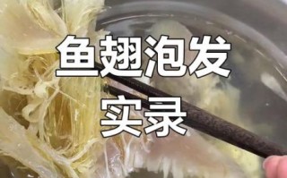 新鲜鱼翅怎么泡发_最简单的做法