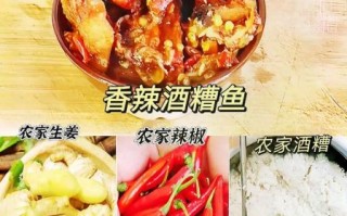 焖糟鱼的家常做法_焖糟鱼怎么做好吃