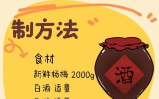 杨梅酒的做法大全_杨梅酒怎么泡不苦 杨梅酒的做法大全_杨梅酒怎么泡不苦
