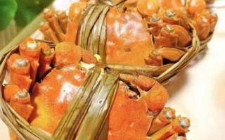 阳澄湖大闸蟹进货渠道_正宗蟹源怎么找