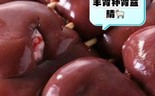 羊腰子和猪腰子哪个补肾好_吃哪个更壮阳