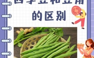 刀豆和四季豆的区别_哪个更好吃