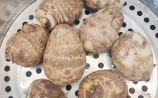 芋头蒸还是煮好吃_蒸芋头与煮芋头区别