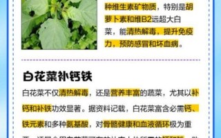白菜花有什么功效_白菜花的作用与禁忌