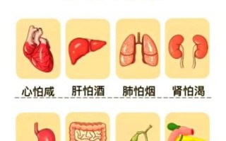 健康营养早餐吃什么_如何搭配