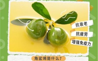 橄榄油能提高性功能吗_怎么用效果最好