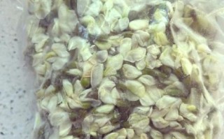 冻过的槐花怎么炒着吃_冻槐花炒前要不要焯水