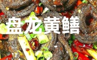 盘龙黄鳝怎么做_盘龙黄鳝家常做法
