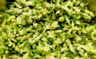 洋槐花饼怎么做好吃_洋槐花饼的家常做法