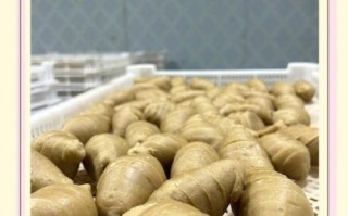 谷元粉做面筋怎么做_谷元粉面筋做法教程