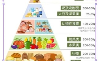 饮食搭配原则_怎样吃才营养均衡