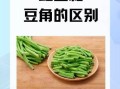 豇豆和豆角的区别_豇豆和豆角哪个更有营养