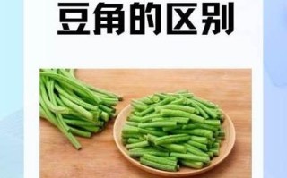 豇豆和豆角的区别_豇豆和豆角哪个更有营养