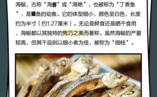 海蜓鱼干怎么吃_海蜓鱼干的家常做法