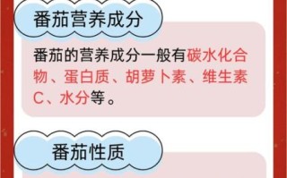 西红柿是凉性还是热性_吃西红柿会上火吗