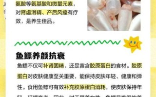 鱼鳔是什么器官_鱼鳔的功能与作用