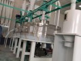 石磨面粉机械多少钱一台_石磨面粉机械工作原理