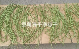 怎样腌制豇豆角咸菜_豇豆角咸菜怎么保存不坏