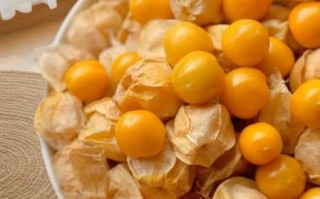 菇娘果怎么吃_菇娘果可以带皮吃吗