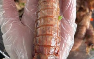 椒盐虾爬子怎么做_椒盐虾爬子做法窍门