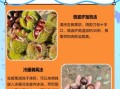 板栗快速去皮_生板栗怎么去皮最快