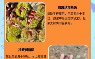 板栗快速去皮_生板栗怎么去皮最快