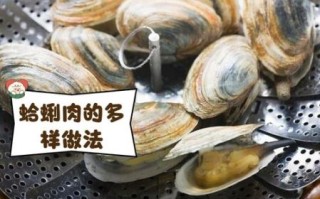干蛤蜊肉怎么泡发_干蛤蜊肉的家常做法窍门