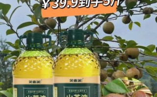 野生茶油的功效与作用_野生茶油怎么吃最好