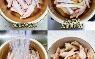 酱鸡爪的做法及配料_酱鸡爪怎么做好吃又入味